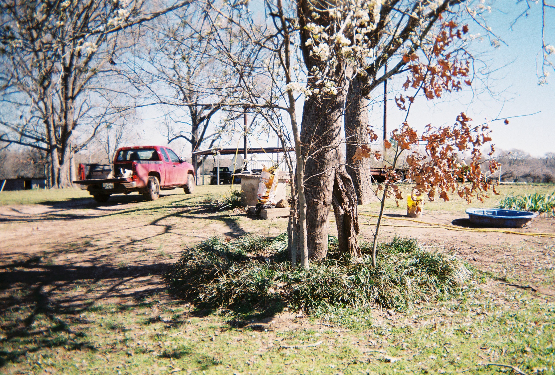 Noel Grant - Page 8 | Noel Grant | PhotoVoice | Arcadia, Texas | Voices ...