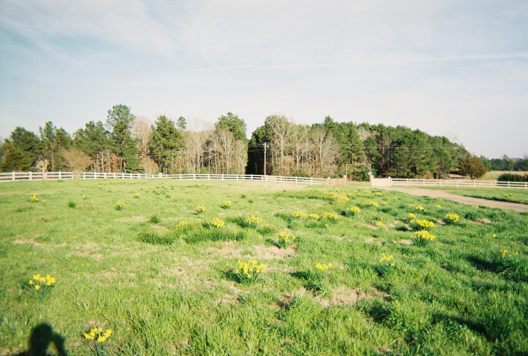 Greg Grant - Page 20 | Greg Grant | PhotoVoice | Arcadia, Texas ...