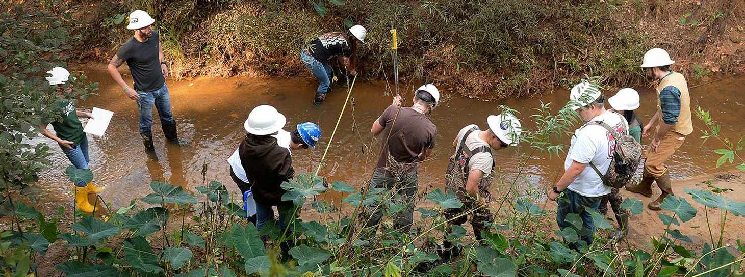 Forestry | College of Forestry and Agriculture | Stephen F. Austin ...