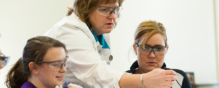 Roles & Responsibilities | Disability Services | SFA