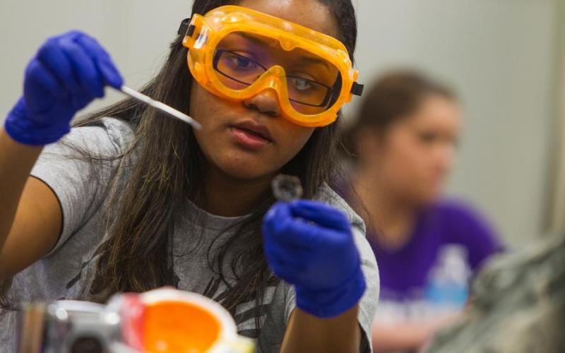 Overview | STEM Education and Research Center | SFA
