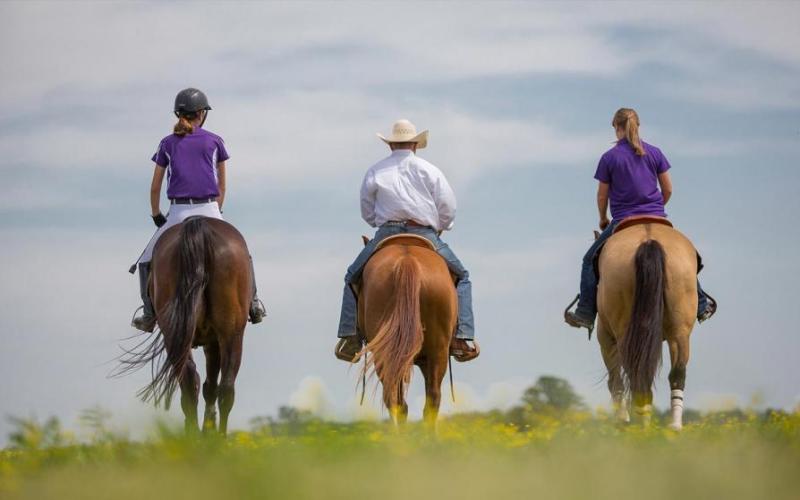 Master of Science in agriculture | Agriculture | SFA
