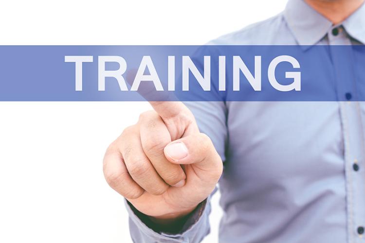 Training | Human Resources | SFA